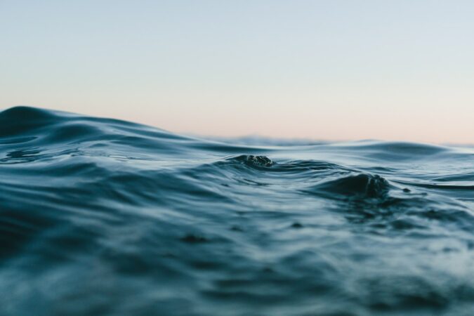 Ontdek meer over de blobvis: een bijzonder wezen dat diep in het water ...